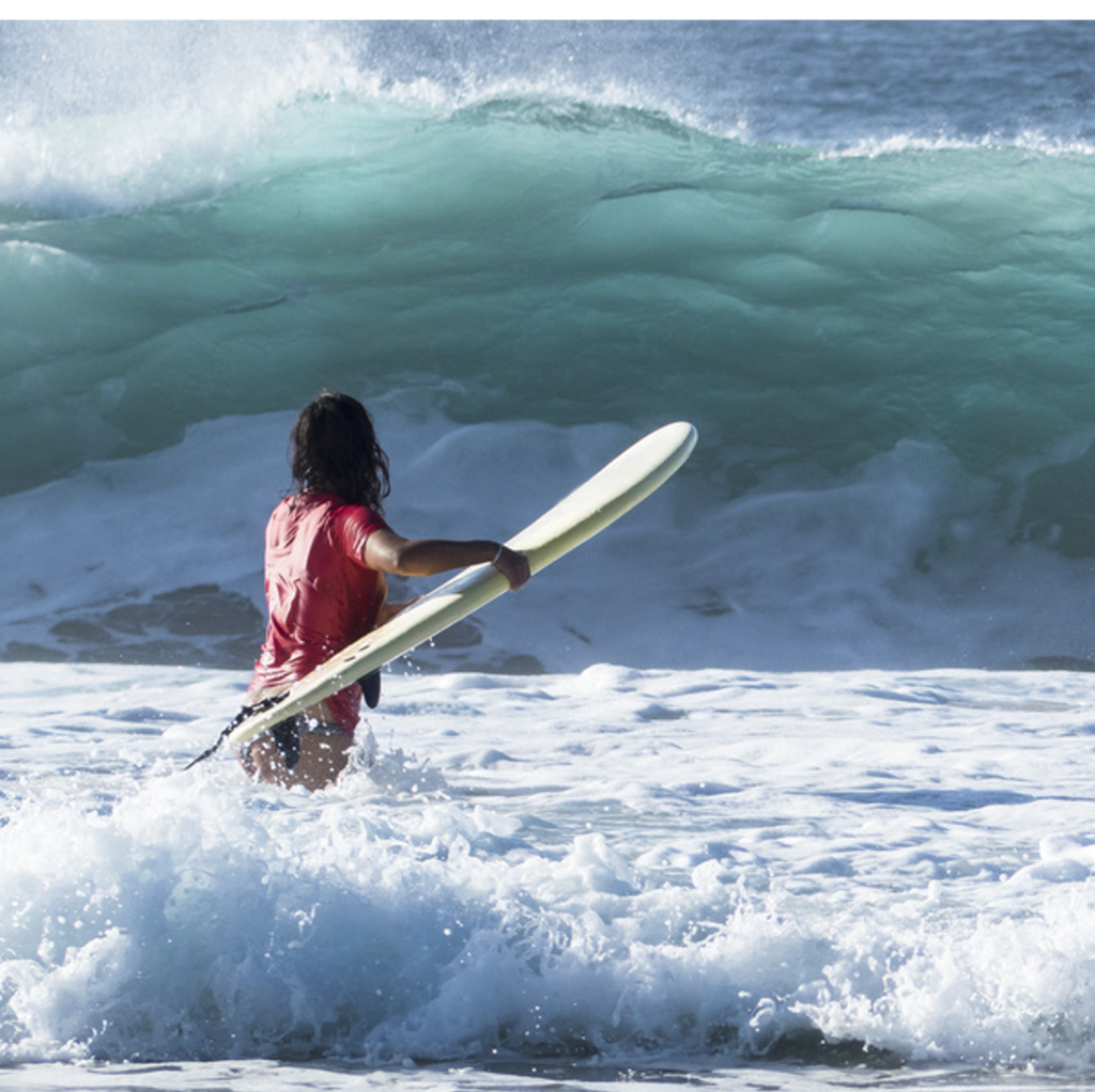 Surfshop » double-loop.eu